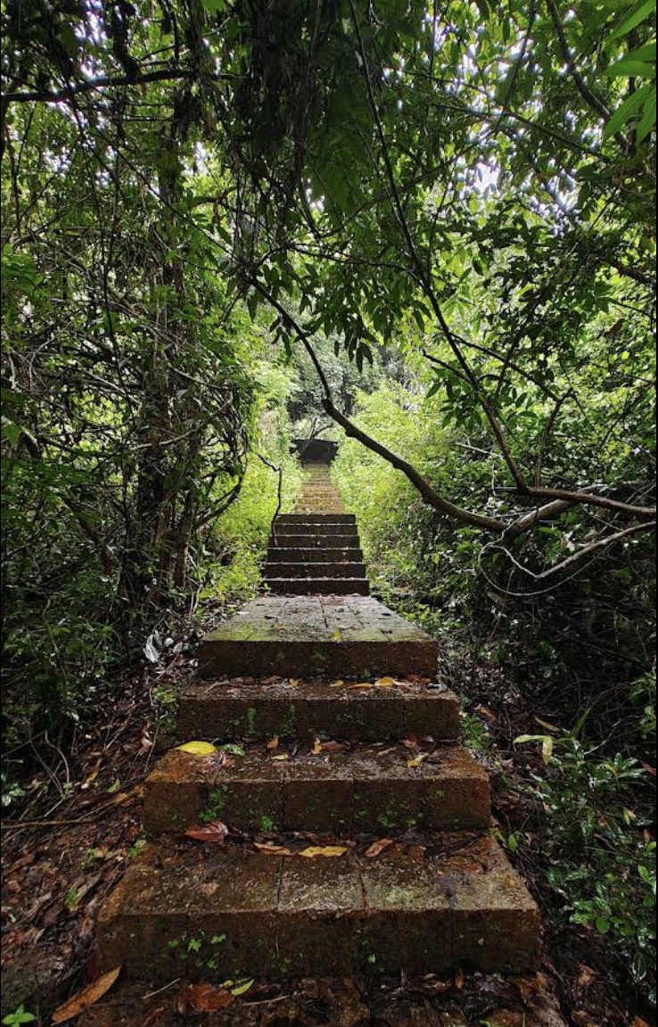 Kannur Mangattuparamba Sree Neeliyar Kottam – Kerala Theyyam