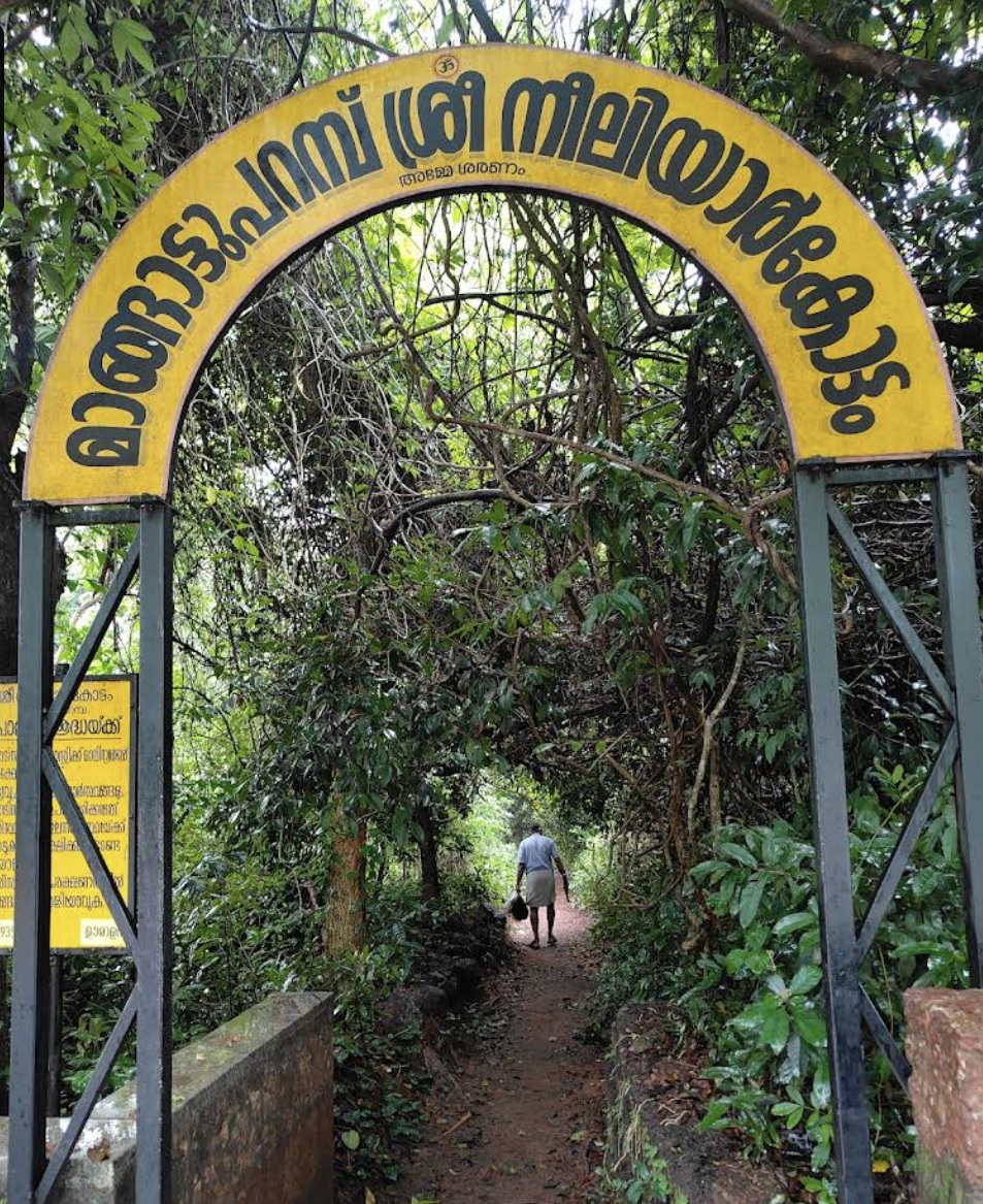 Kannur Mangattuparamba Sree Neeliyar Kottam – Kerala Theyyam